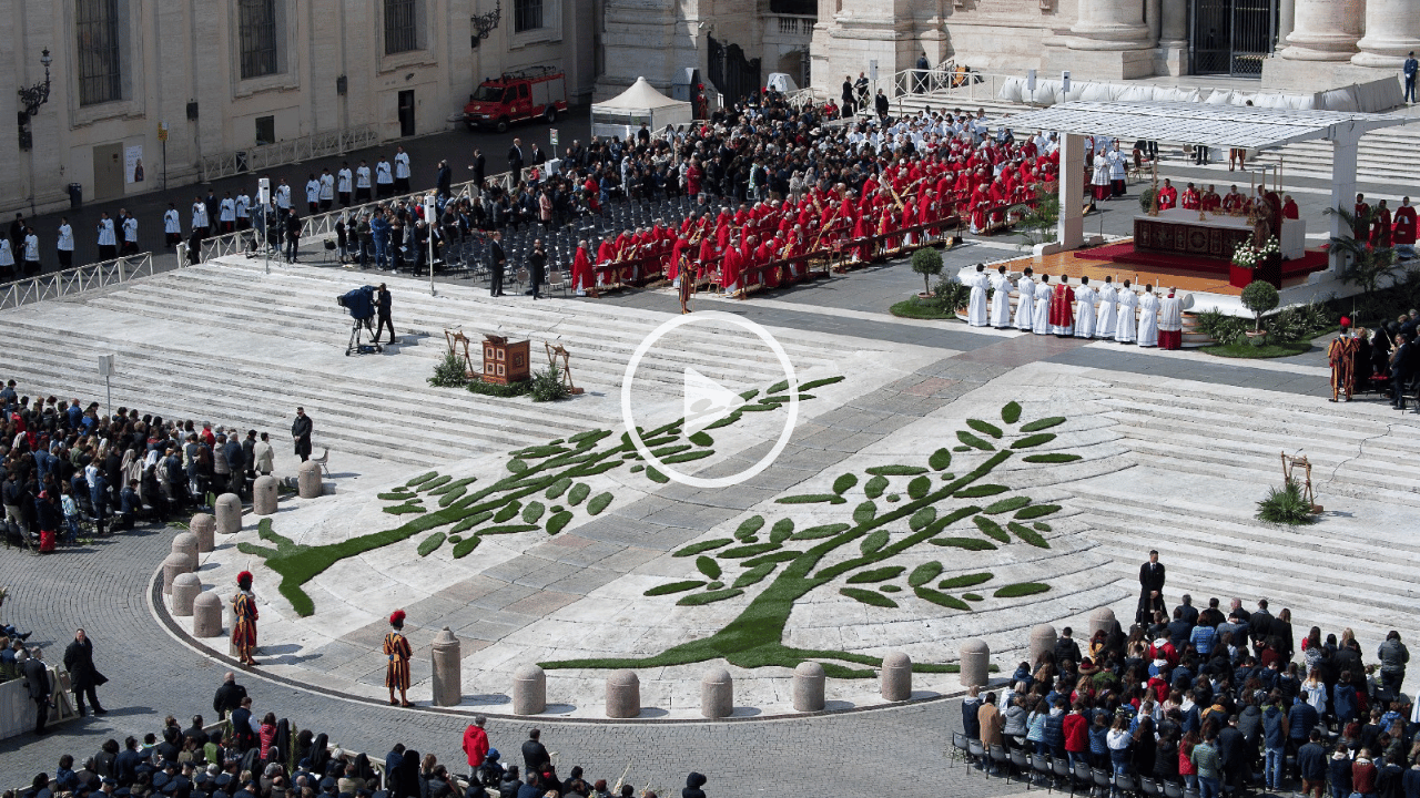 Vatican announces theme for 2026 World Day of Peace - EWTN Vatican